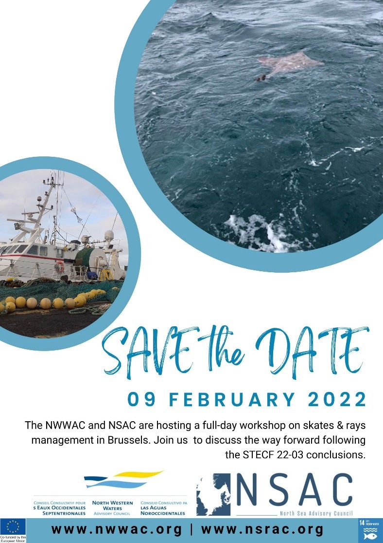 NWWAC/NSAC Workshop on Skates and Rays management - North Sea Advisory ...